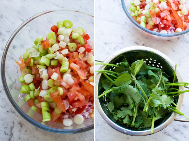 10 Minute Fresh Tomato Salsa - Scrummy Lane