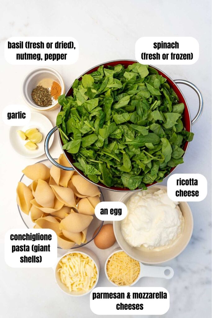 Conchiglione Pasta With Spinach And Ricotta (Giant Stuffed Shells ...