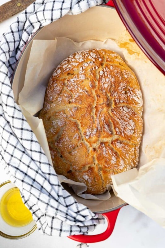 Greek Bread (Easy No Knead Recipe) - Scrummy Lane